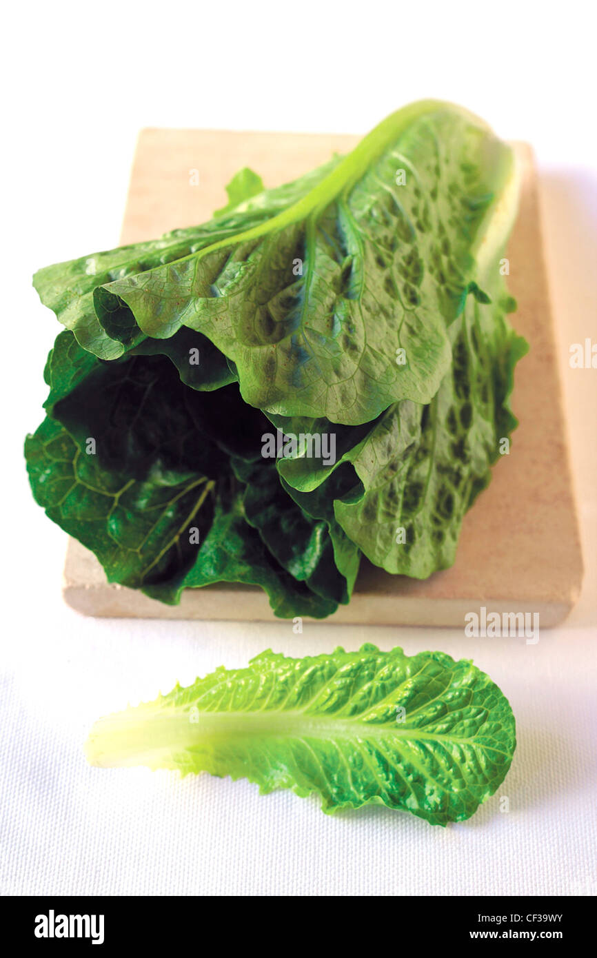 Long Live Caesar Caesar salad is one of those simple, classic dishes ...