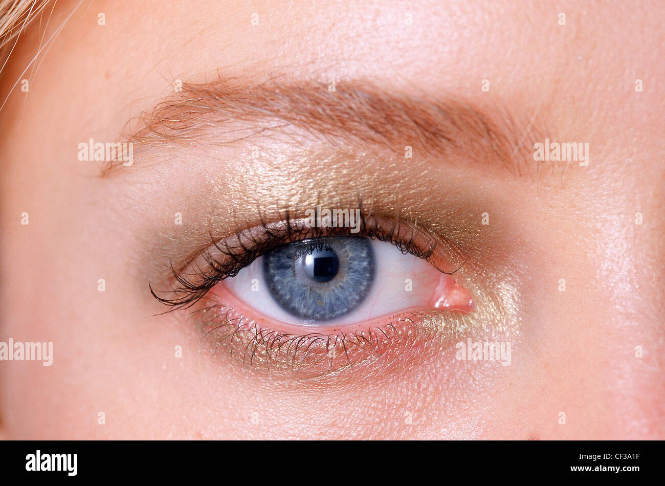 Strenesse Backstage New York Ready to Wear Autumn Winter Close up of a ...