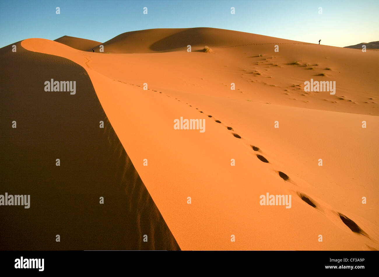 Path of over sand dunes at Sahara desert Stock Photo - Alamy