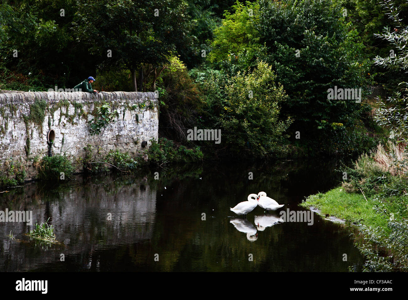 A man fishing in the River Leith in Edinburgh Stock Photo - Alamy