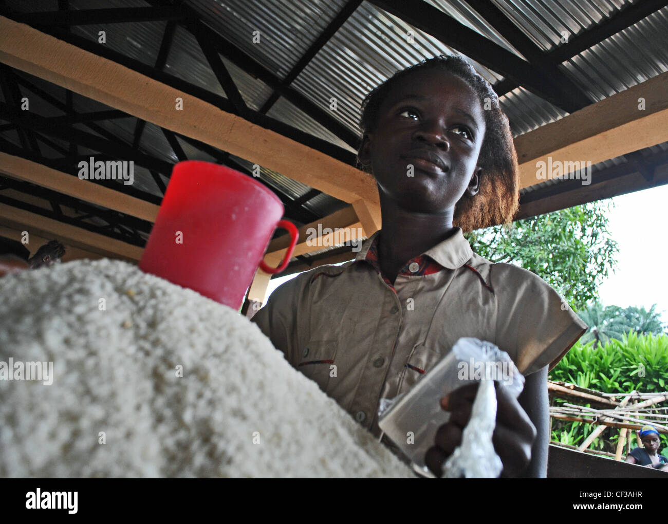 Rice in staple hi-res stock photography and images - Alamy