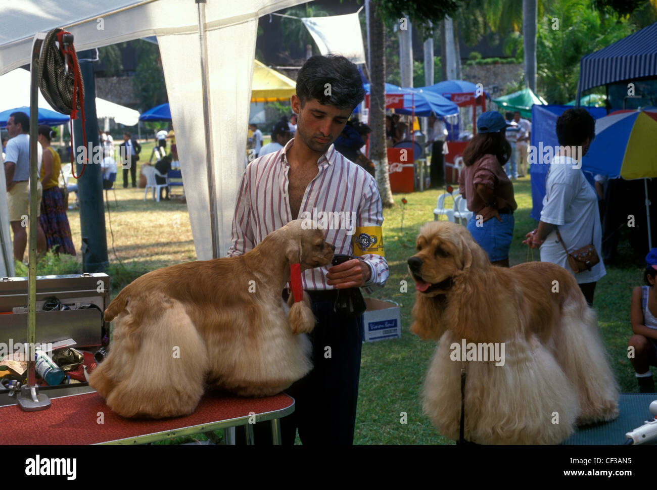 Mexican man, Mexican, man, dog groomer, grooming dog, grooming dogs ...