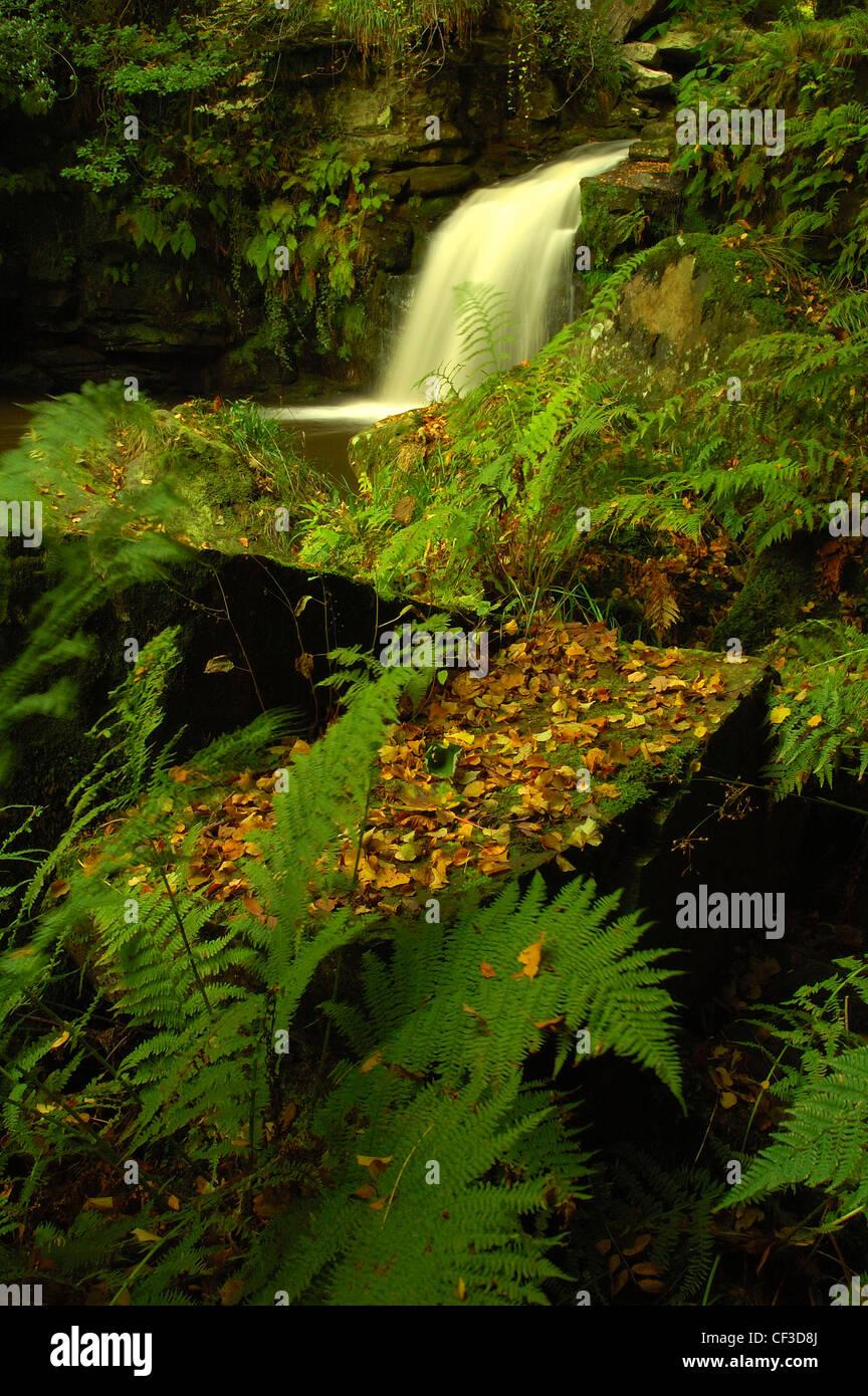 Thomasson hi-res stock photography and images - Alamy