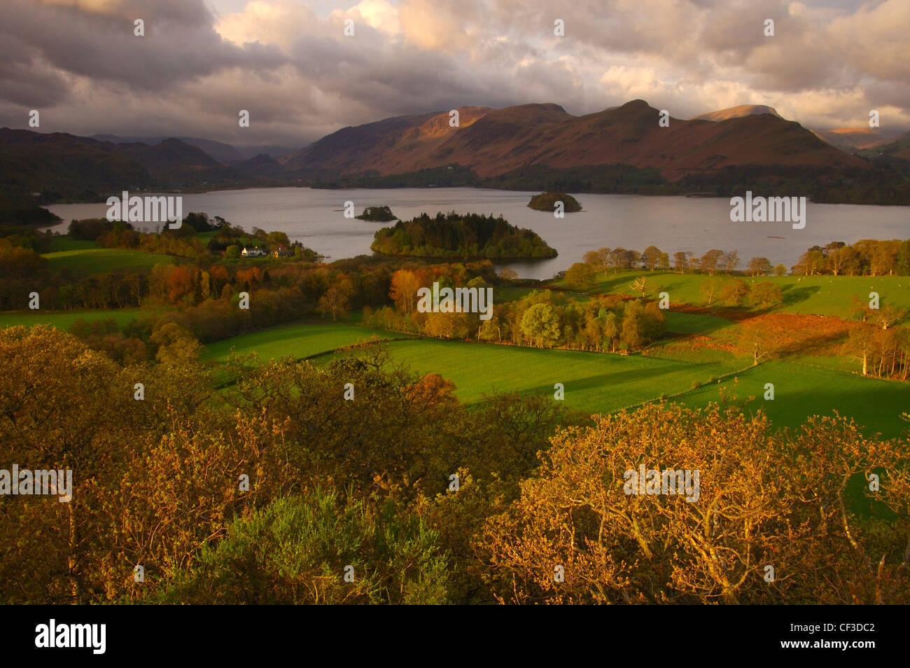 Castlehead wood, keswick hi-res stock photography and images - Alamy
