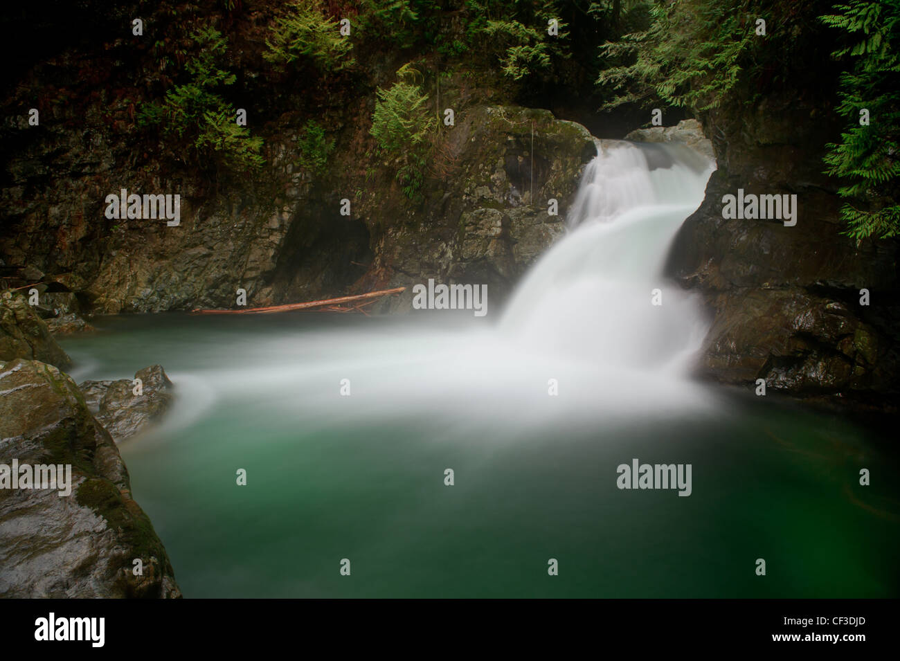 Waterfall in Lynn valley Stock Photo - Alamy