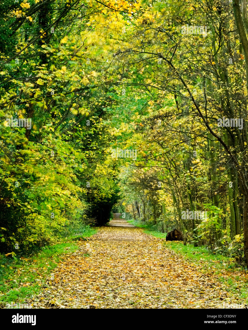 A view down the Nickey Line foot and cycle path. The former railway ...