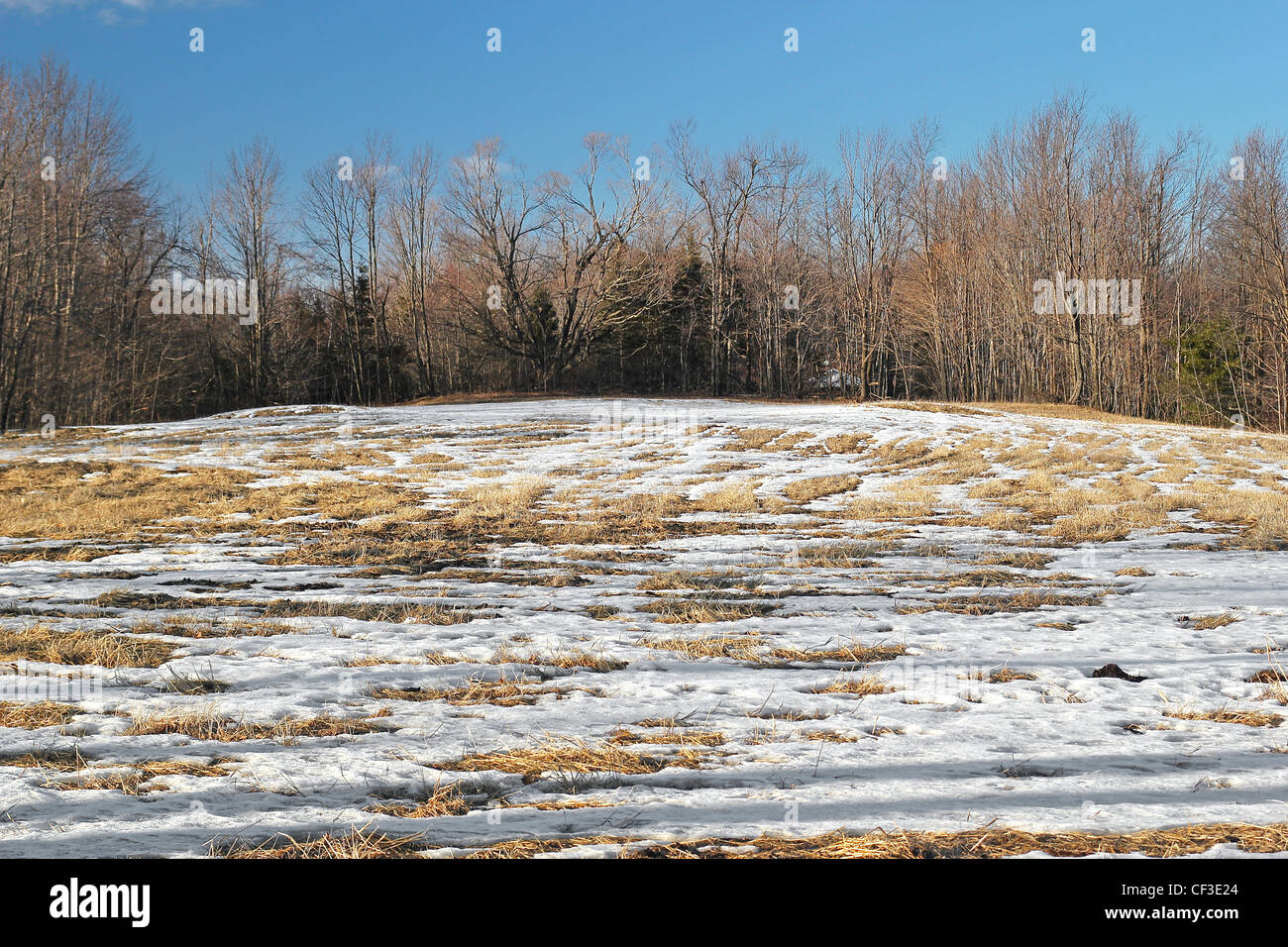 A field in winter Stock Photo - Alamy