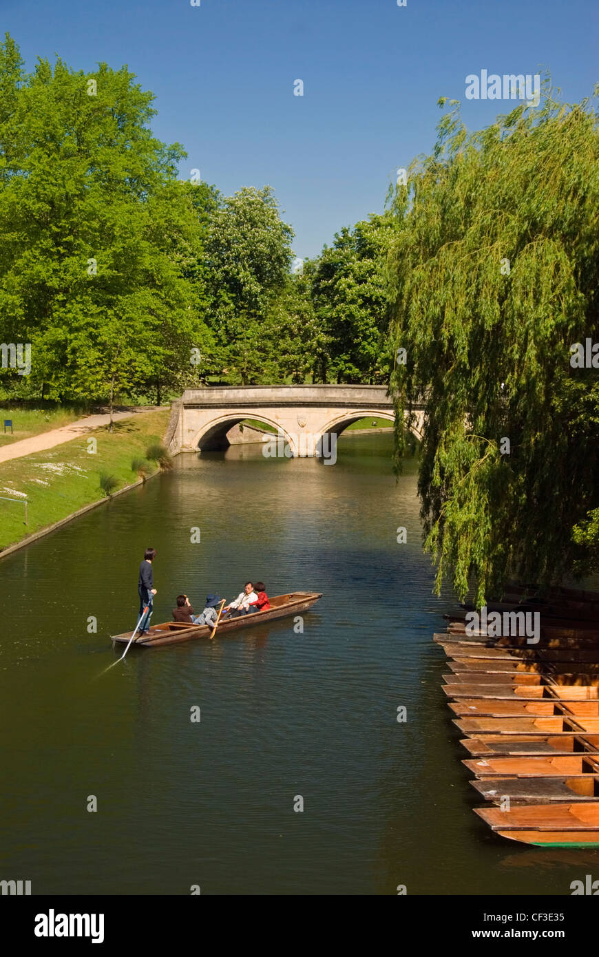 Punts on the River Cam at Cambridge. The River Cam is famous for the ...