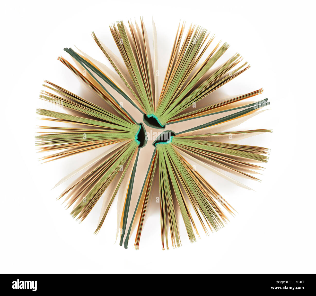 Book words collage Cut Out Stock Images & Pictures - Alamy