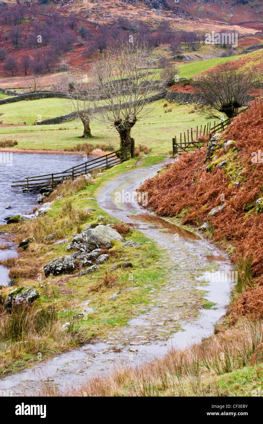 A winding country path around the village and tarn of Watendlath Stock ...