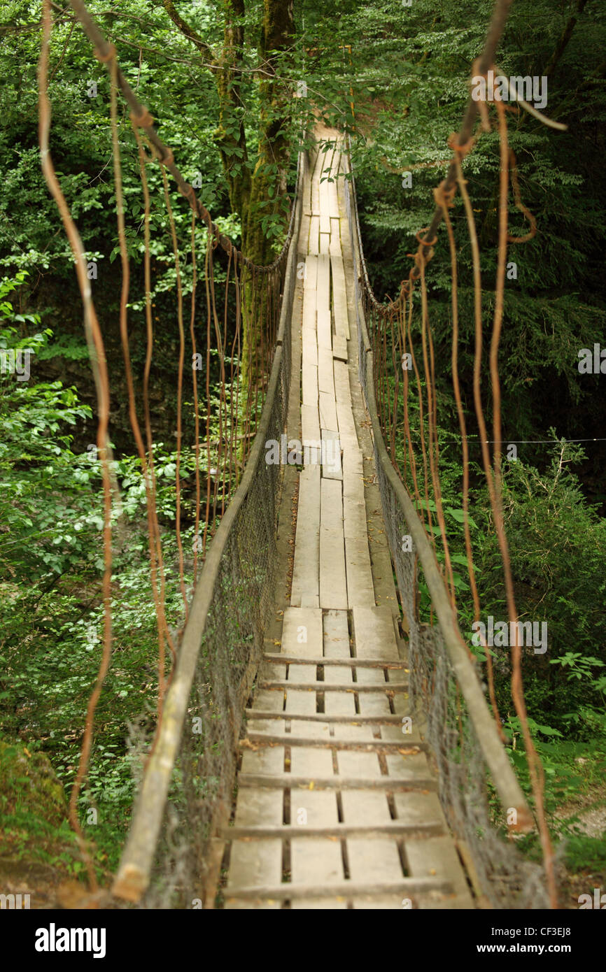 Wooden suspension bridge in wood Stock Photo - Alamy