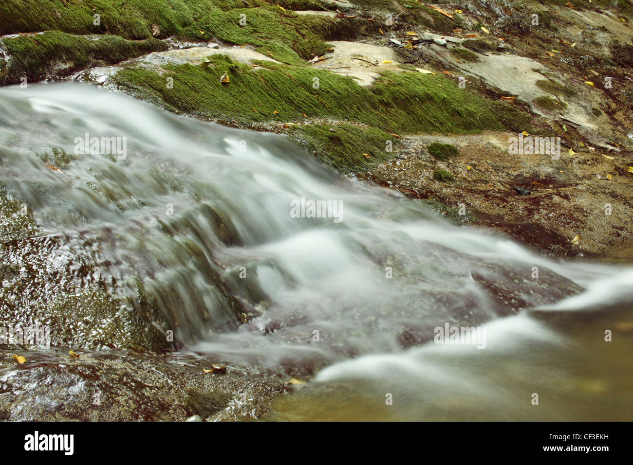 Beautiful mountain stream rain forest hi-res stock photography and ...