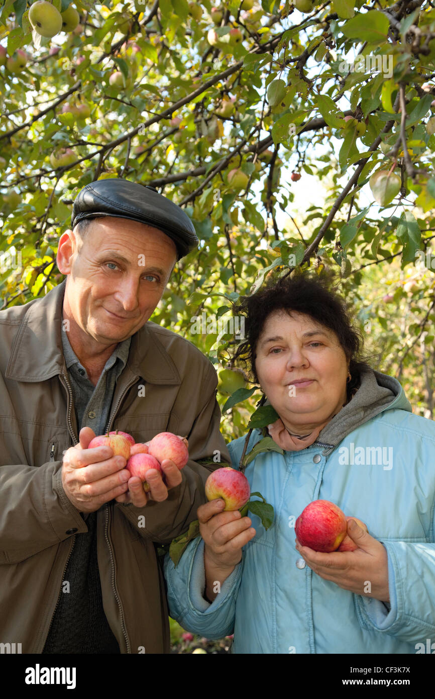 Woman under tree orchard farm hi-res stock photography and images - Alamy