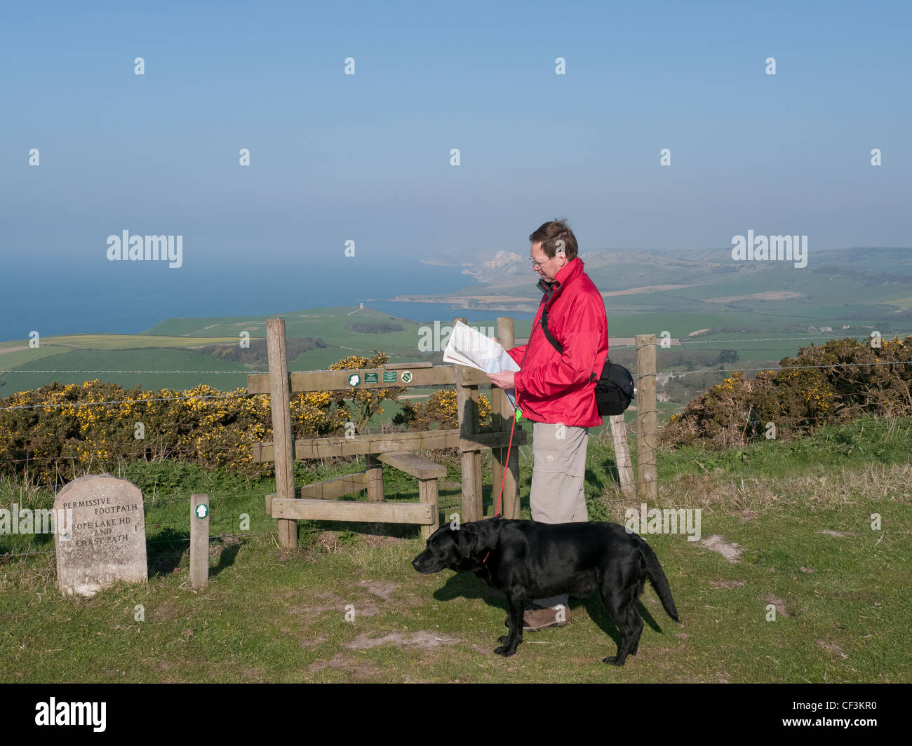Dog stile map hi-res stock photography and images - Alamy