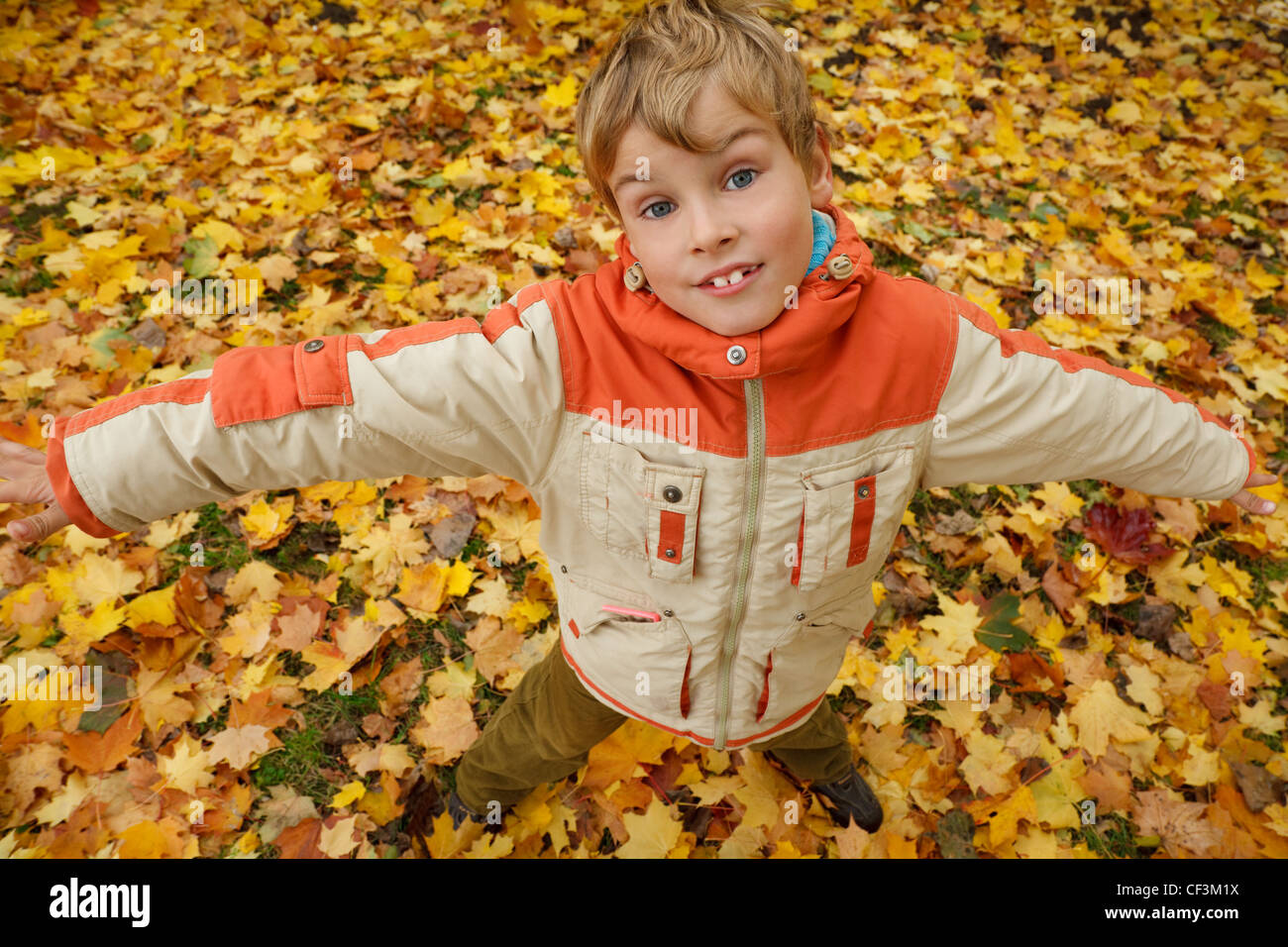 Portrait of boy in autumn park against fallen down leaves. Boy has ...