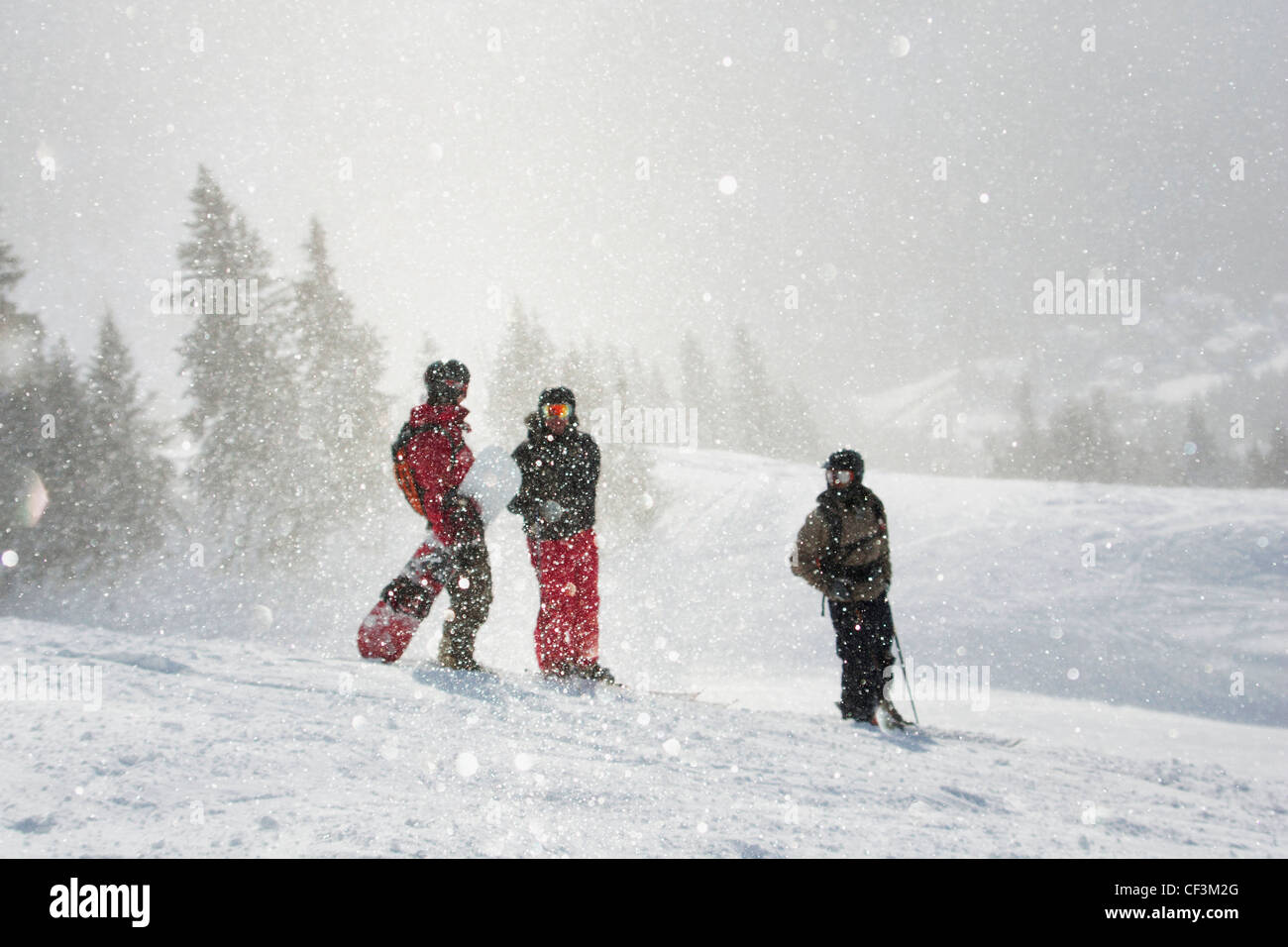 Skier and snowboarder Stock Photo - Alamy