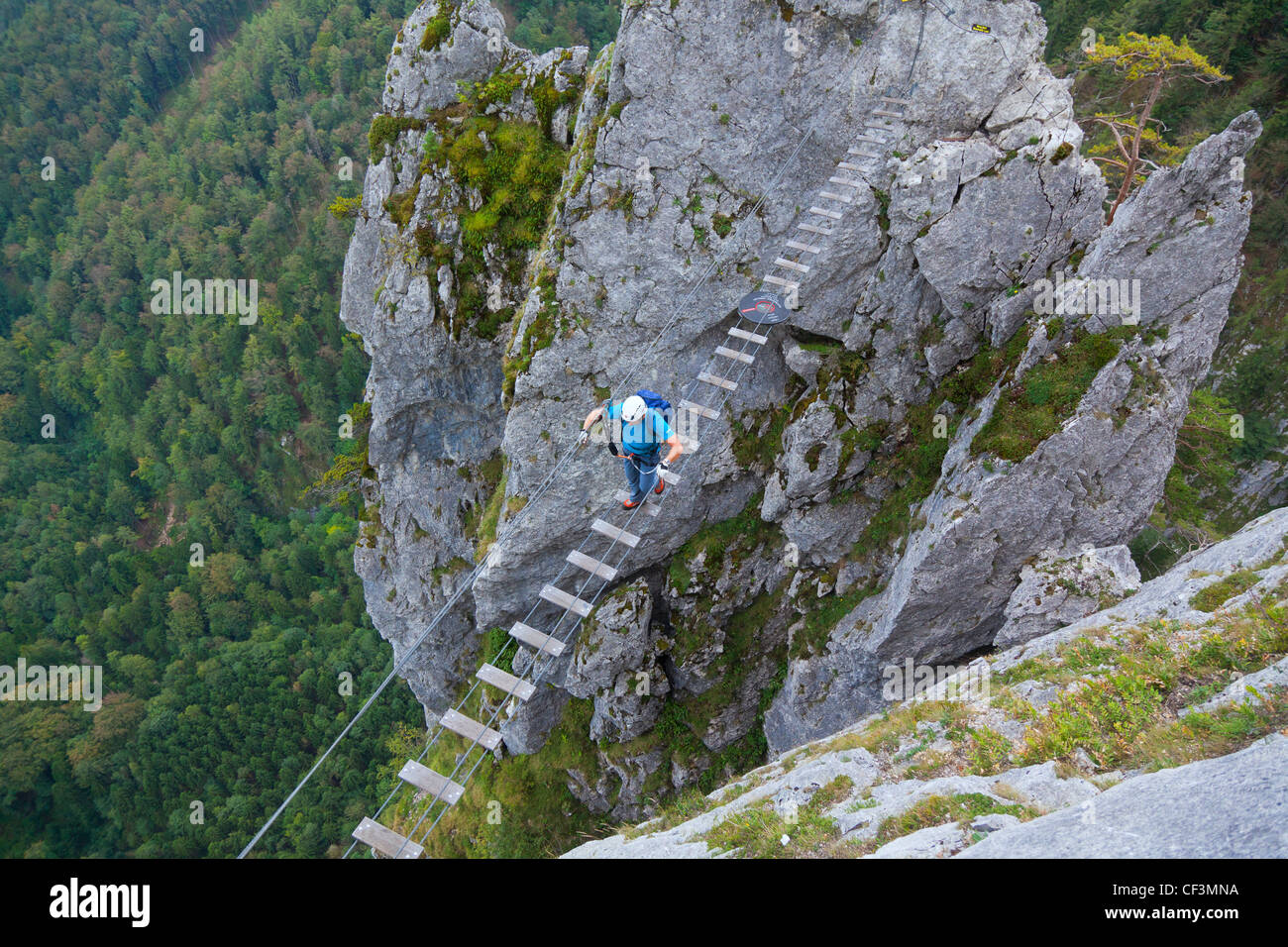 Man walking above rope bridge above canyon, Drachenwand, Alps, Austria ...