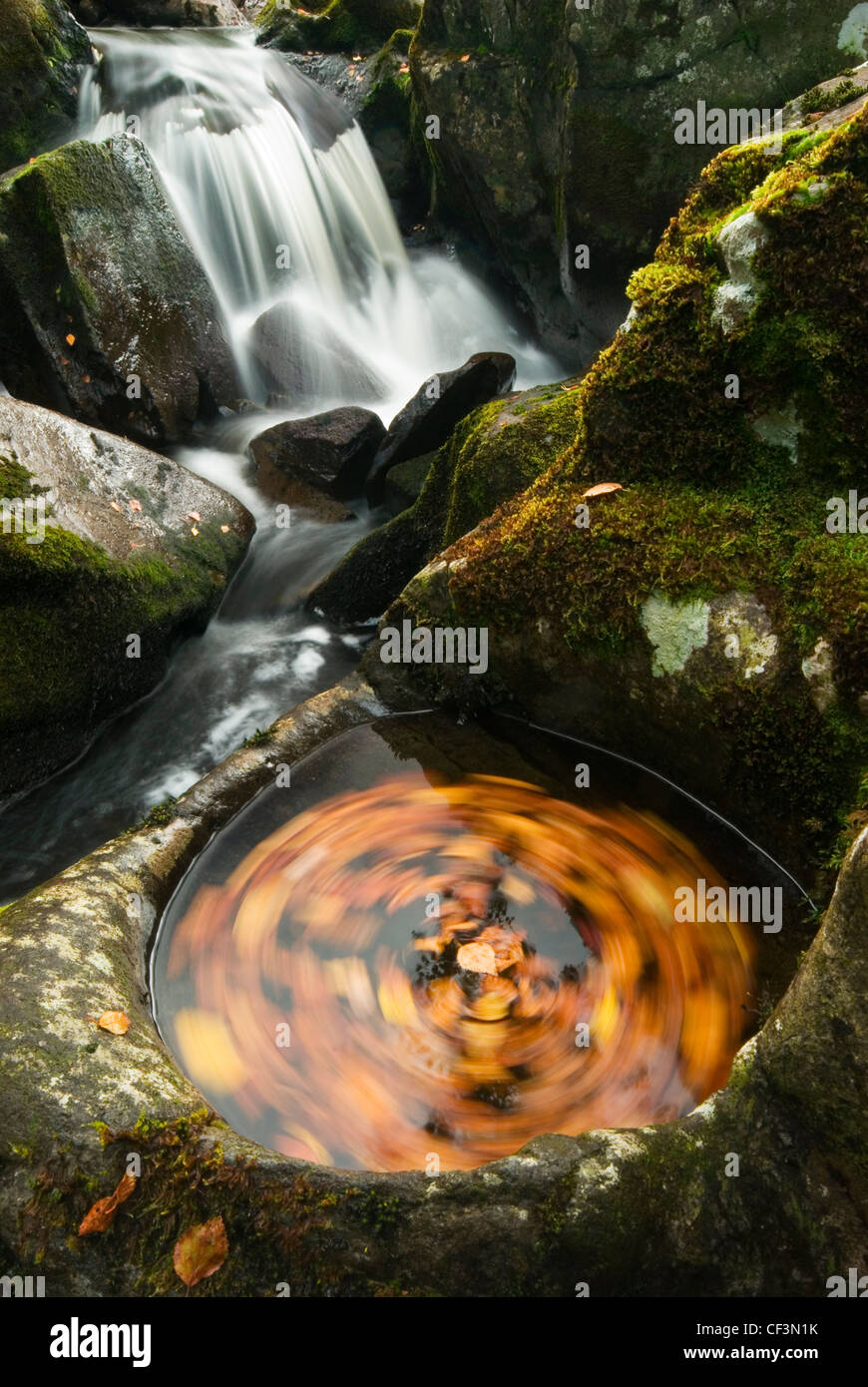Autumn leaves swirl in a pool of water near a waterfall below ...