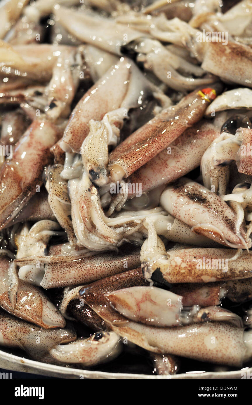 Detail of fresh raw whole squid Stock Photo - Alamy