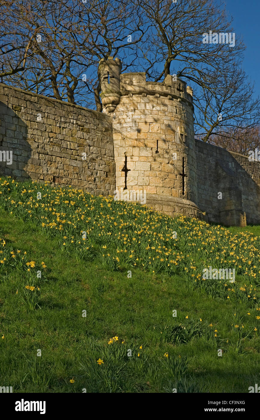 Tower on the York city walls between Monk Bar and Bootham Bar Stock ...