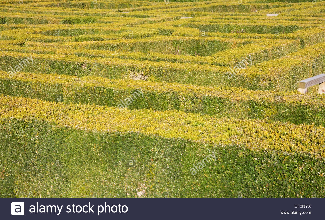 Hedging Box Stock Photos & Hedging Box Stock Images - Alamy