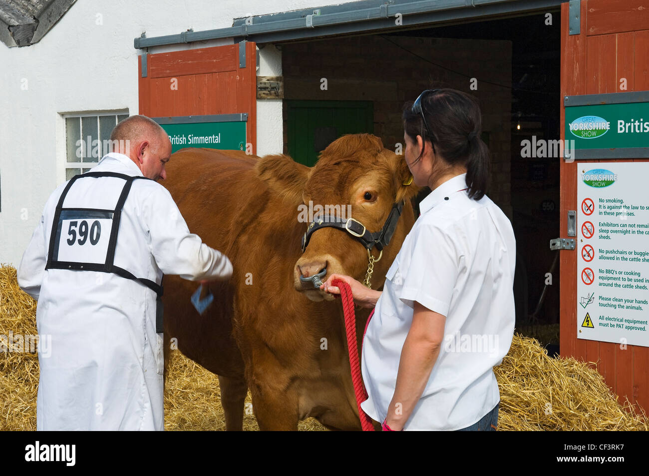 Herdsman preparing hi-res stock photography and images - Alamy