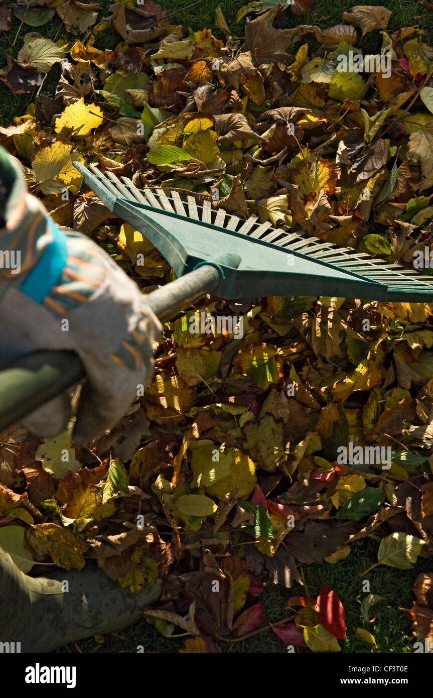 Plastic rake hi-res stock photography and images - Alamy