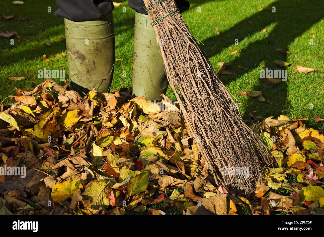 Close up of a man sweeping leaves on a lawn in autumn Stock Photo - Alamy