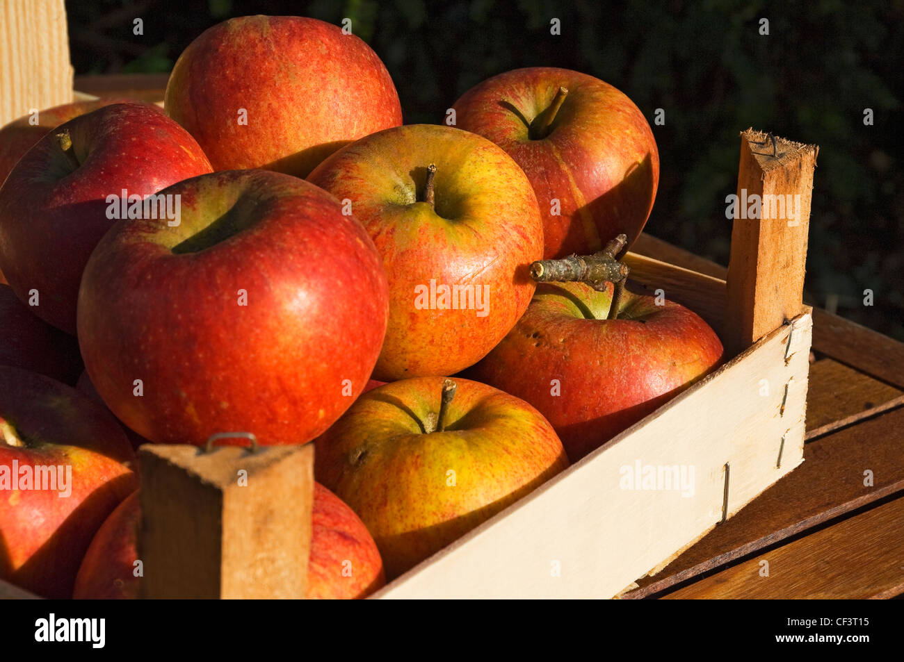 Charles ross apples hi-res stock photography and images - Alamy