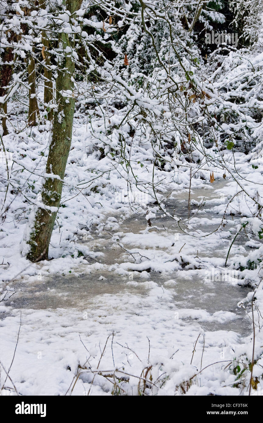 A frozen stream in snow covered woodland near Strensall village Stock ...