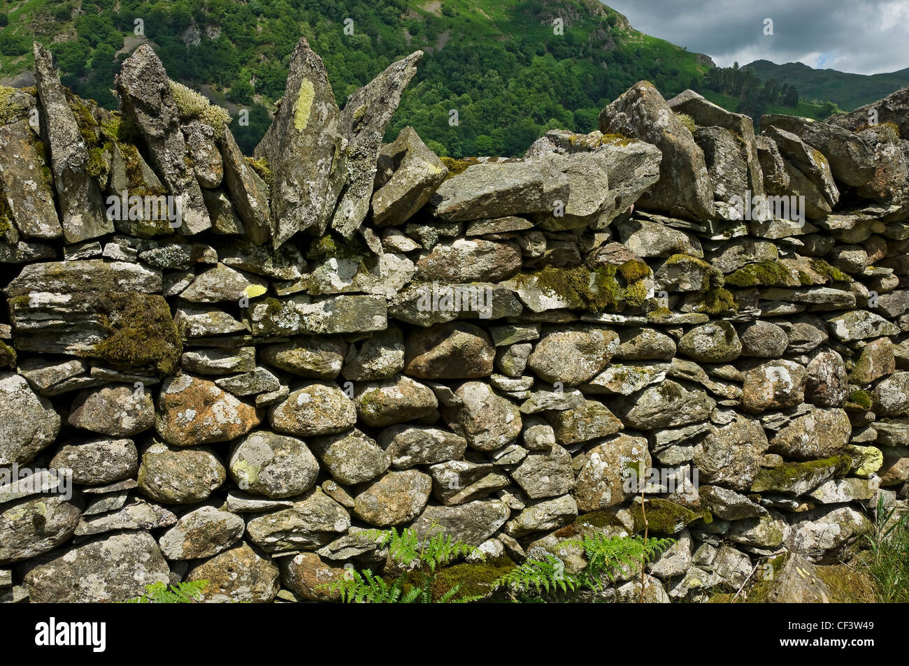 Traditional dry stone walling hi-res stock photography and images - Alamy