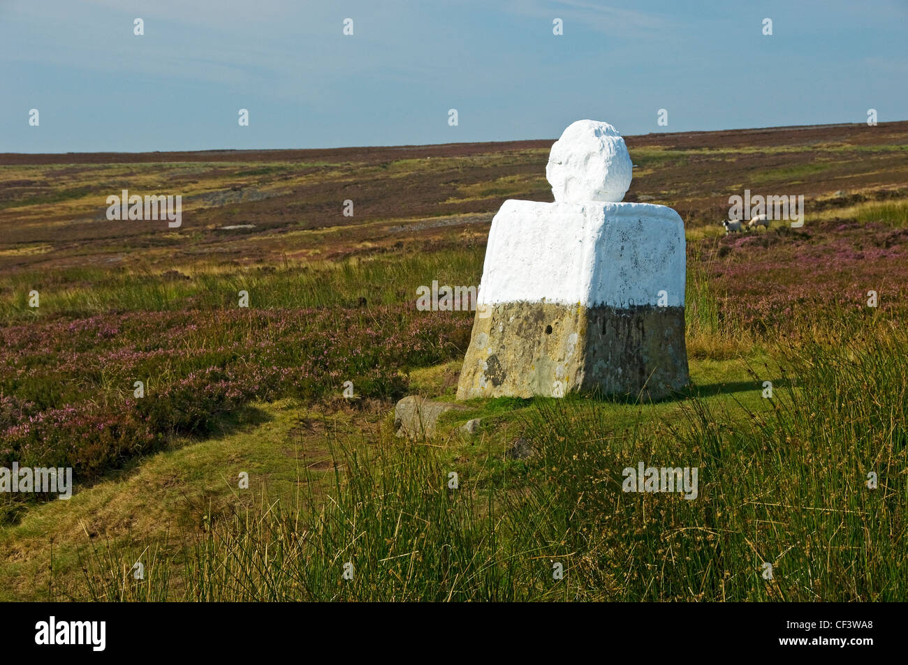 Fat Betty also known as White Cross between Blakey Rigg and Rosedale ...