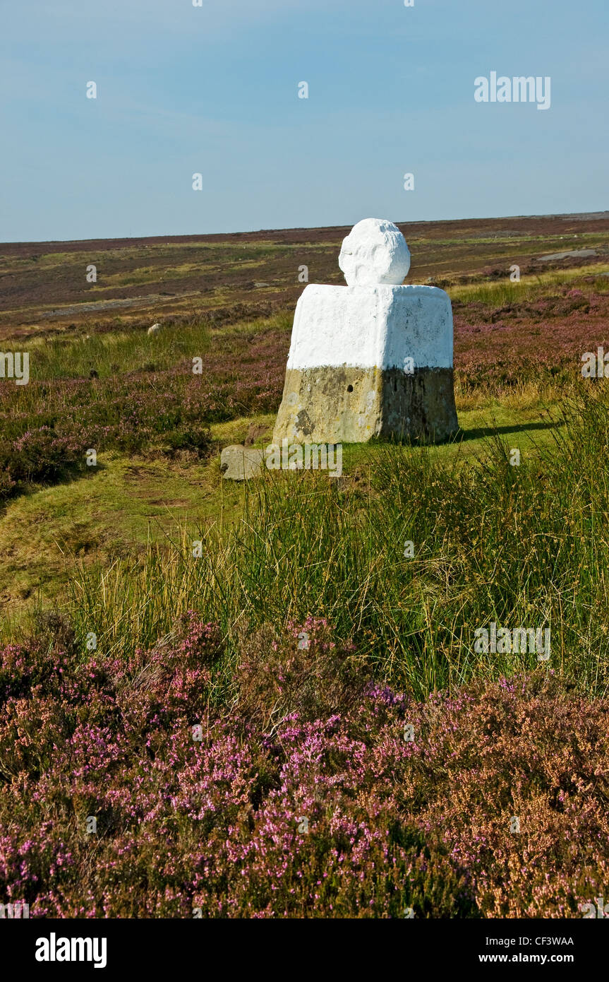 Fat Betty also known as White Cross between Blakey Rigg and Rosedale ...