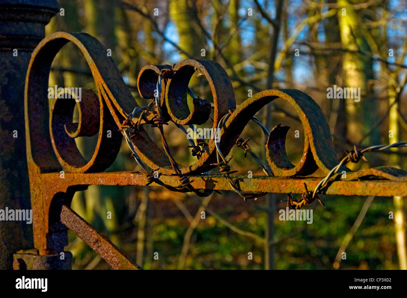 Detail of barbed wire on a rusty wrought iron gate Stock Photo - Alamy