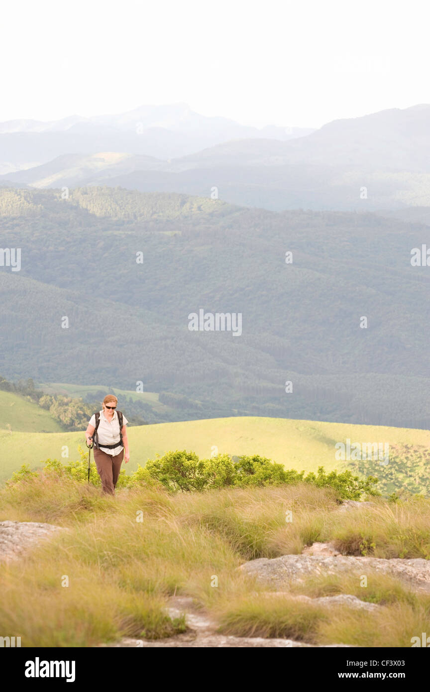 Forests belt hi-res stock photography and images - Alamy