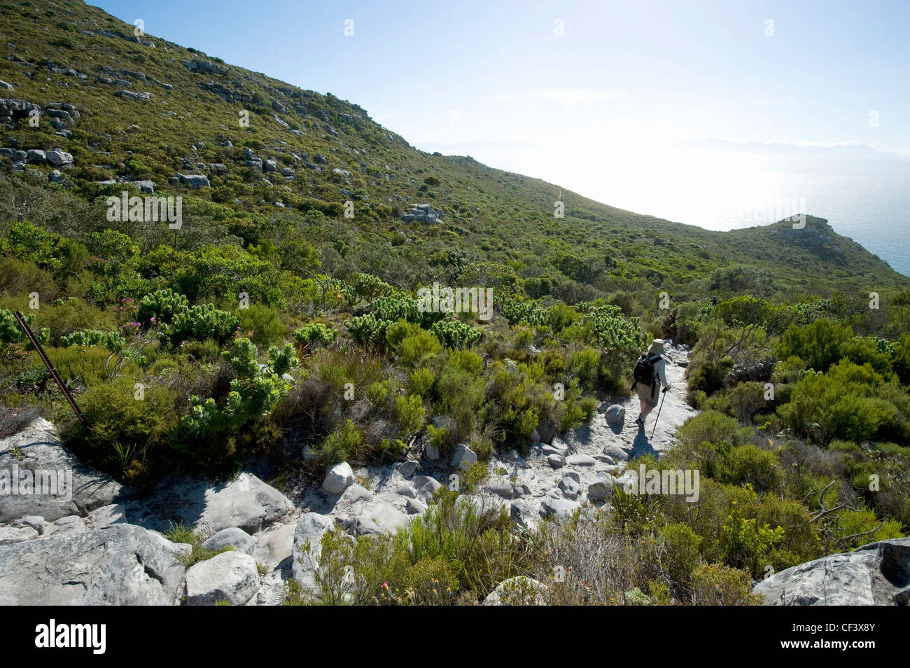 Walk stroll strolling amble wander saunter ramble hi-res stock ...