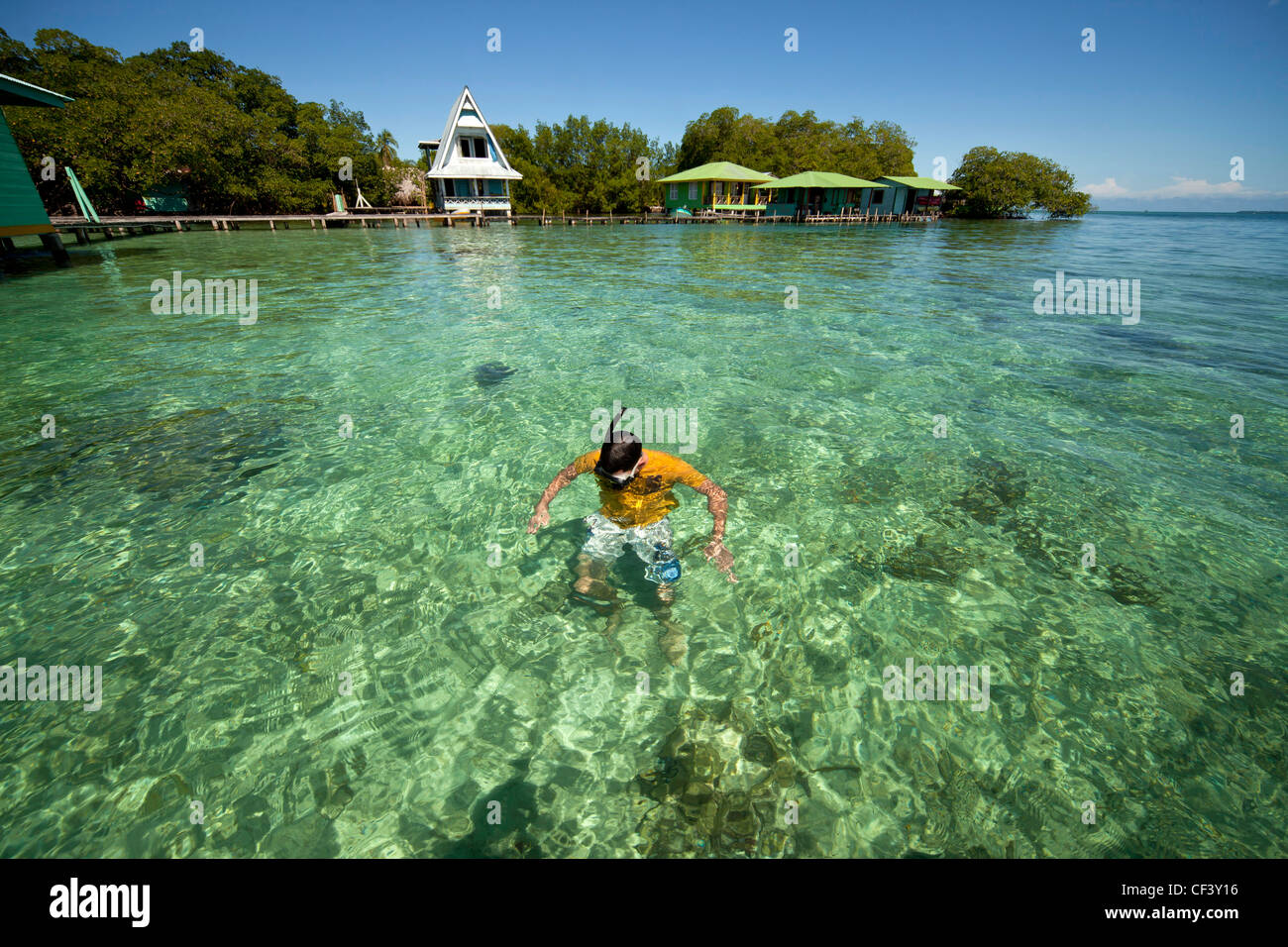snorkeling in the clear water of the small Caribbean island of Coral ...