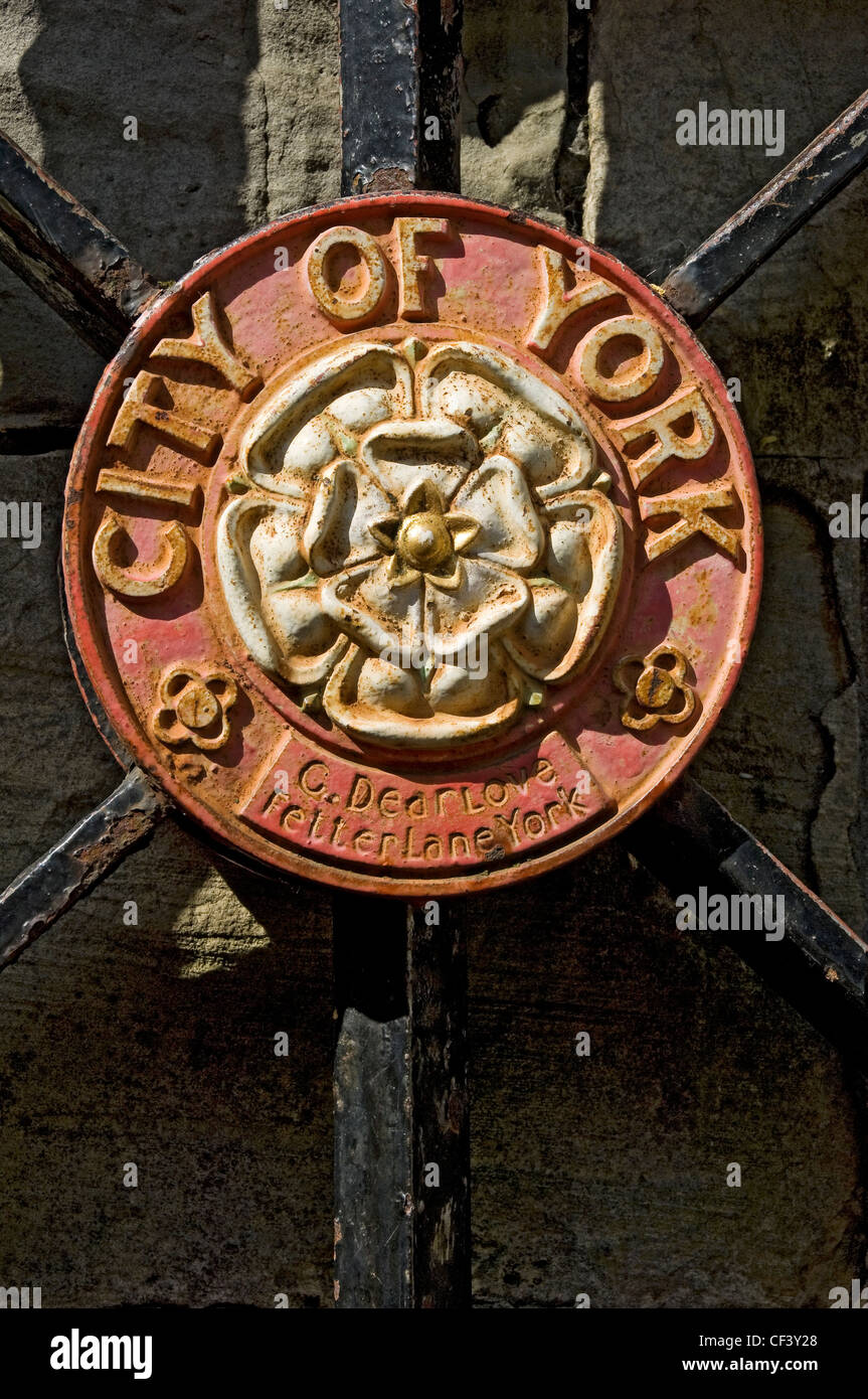 White Rose Of York High Resolution Stock Photography and Images - Alamy