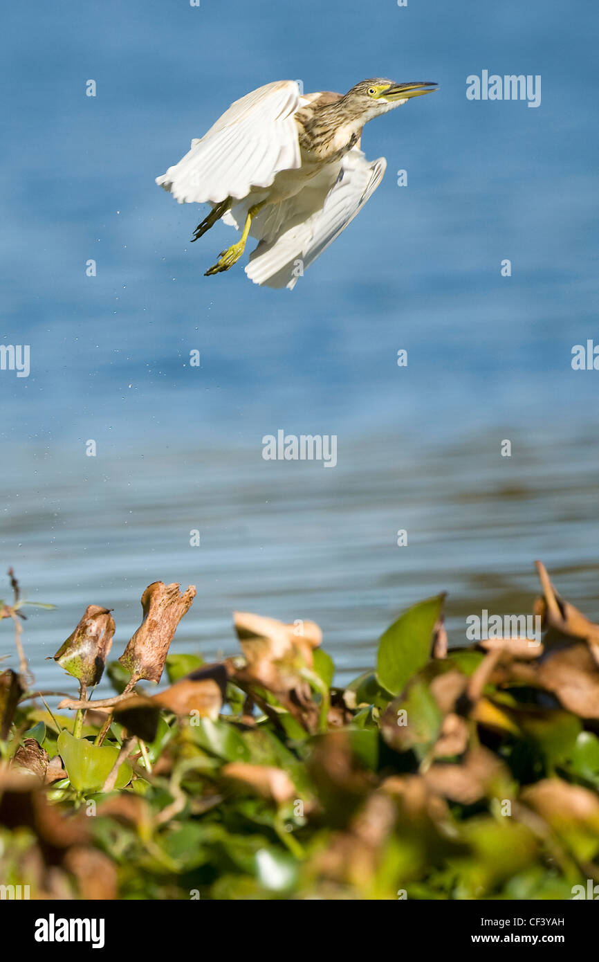 Aerial beautiful lake near stunning hi-res stock photography and images ...
