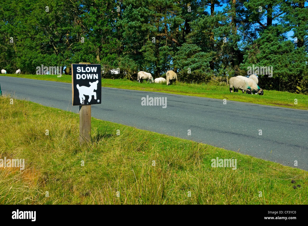 A sign with the words 'SLOW DOWN' and a symbol of a lamb, by the ...