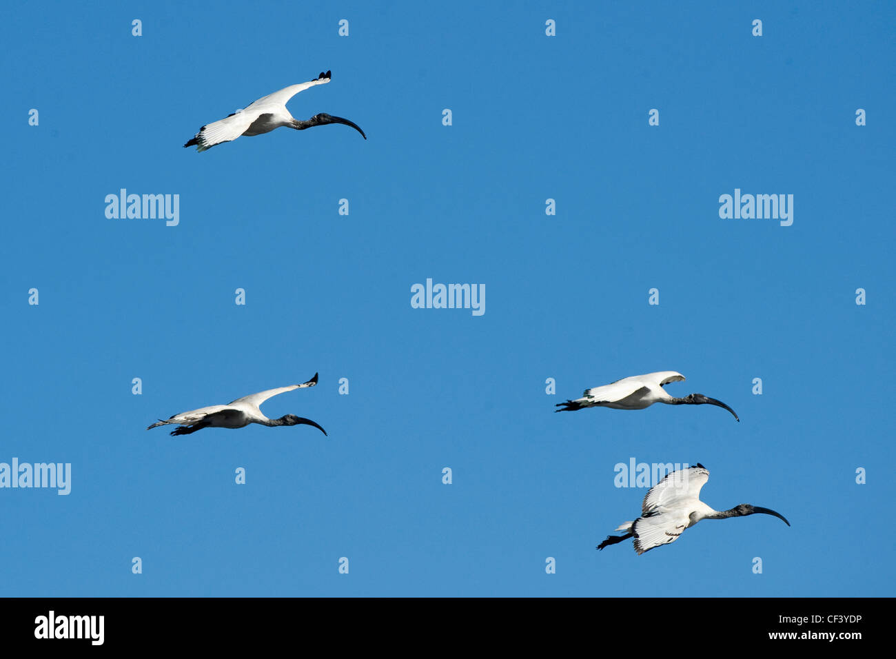 Lake chivero hi-res stock photography and images - Alamy