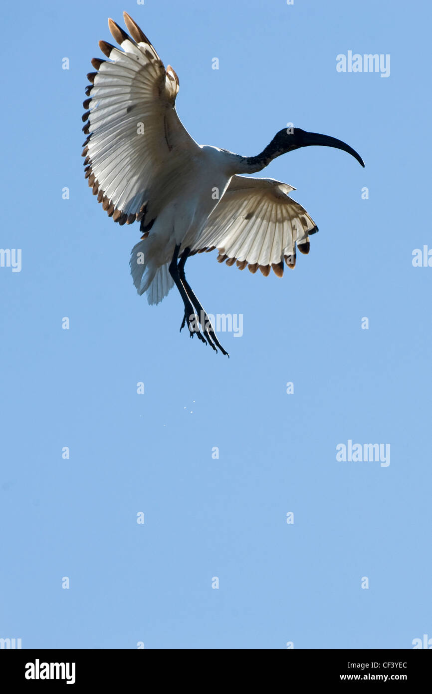Lake chivero hi-res stock photography and images - Alamy