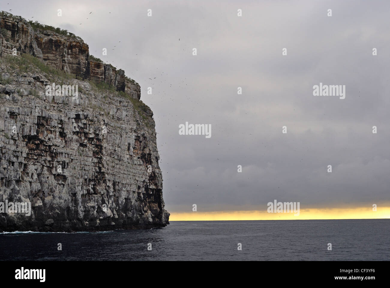 Rocky cliffs of Darwin island at sunrise, Darwin Island, Galapagos ...
