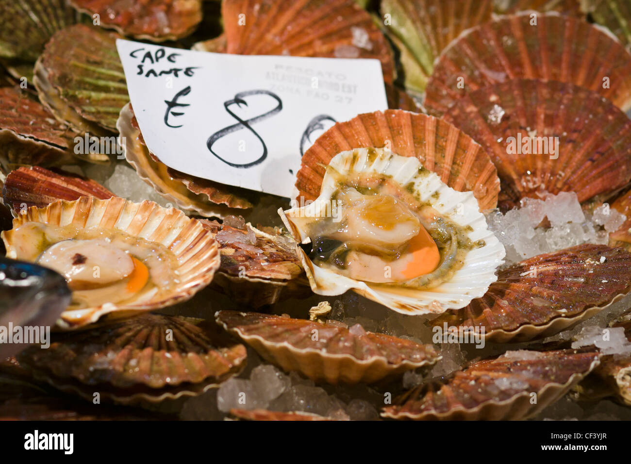 Scallops for sale at the Rialto fish market - Venice, Venezia, Italy ...