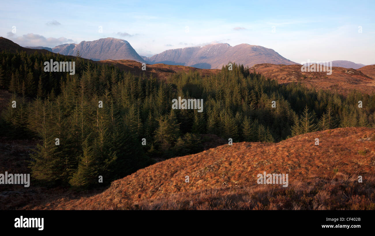 Applecross scotland forest hi-res stock photography and images - Alamy
