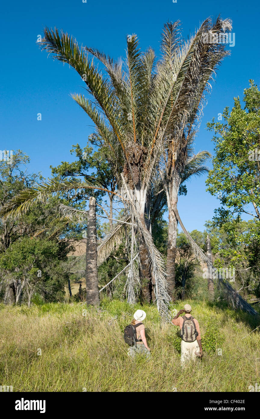Umfurudzi Safari Area Zimbabwe Stock Photo - Alamy