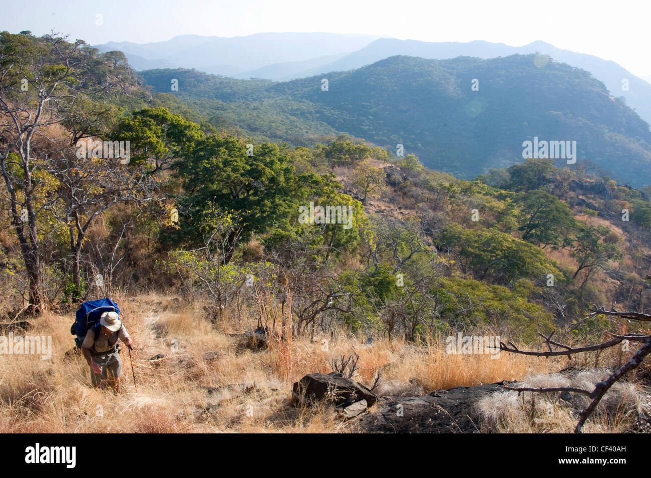 Horse up a steep hill hi-res stock photography and images - Alamy