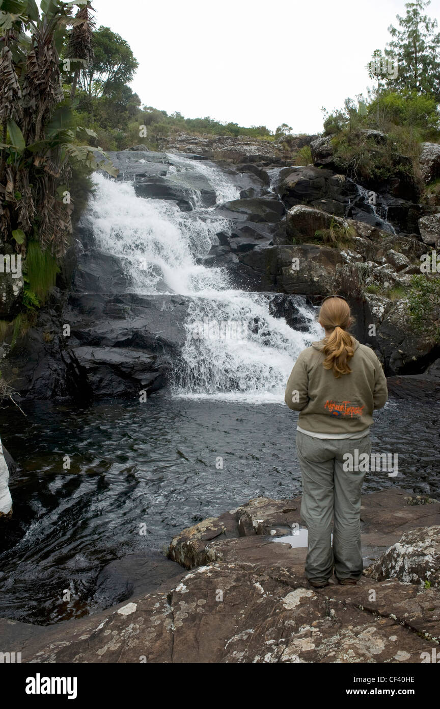 Nyanga forest hi-res stock photography and images - Alamy