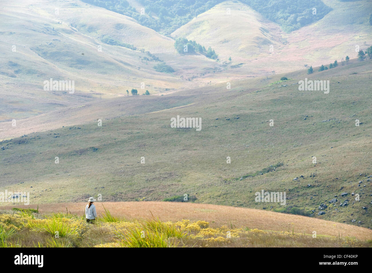 Nyanga zimbabwe mountains hi-res stock photography and images - Alamy