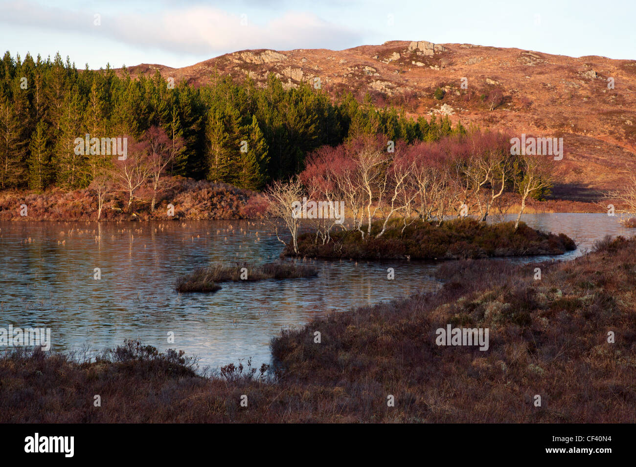 Loch an Eich-uisge Reraig Lochcarron Scottish Highlands Scotland UK ...